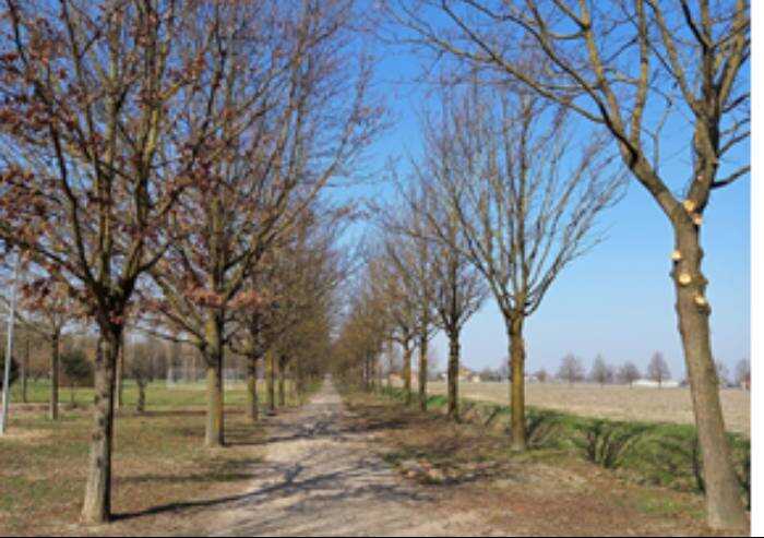 Modena, parco dei Torrazzi: fermateli!