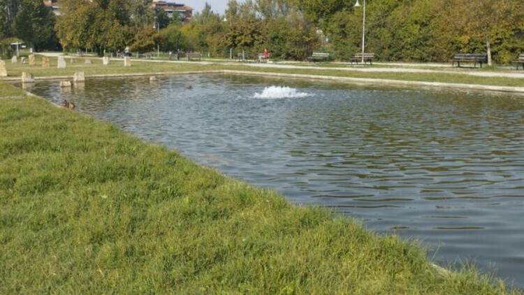 Modena, follia al parco della Resistenza: spara alle anatre con un fucile